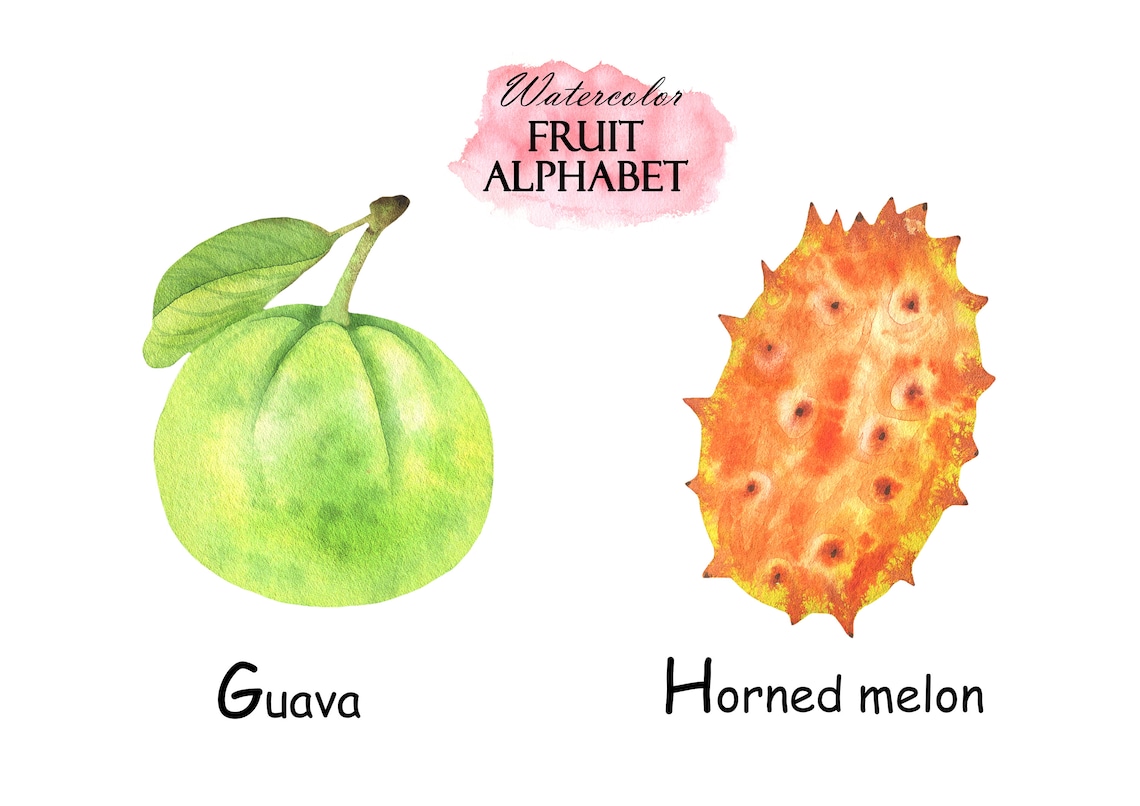 Watercolor Fruit Alphabet Clipart, Fruits ABC, Alphabet Poster ...