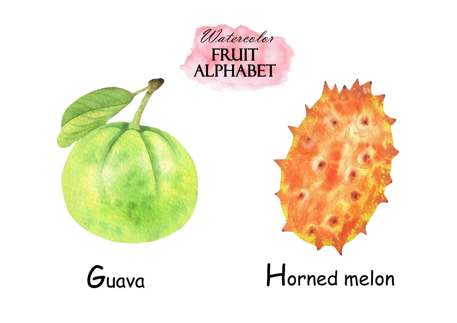 Watercolor Fruit Alphabet Clipart, Fruits ABC, Alphabet Poster ...