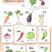 Watercolor Vegetable Alphabet ABC Card, Learning Letters, Printable ...