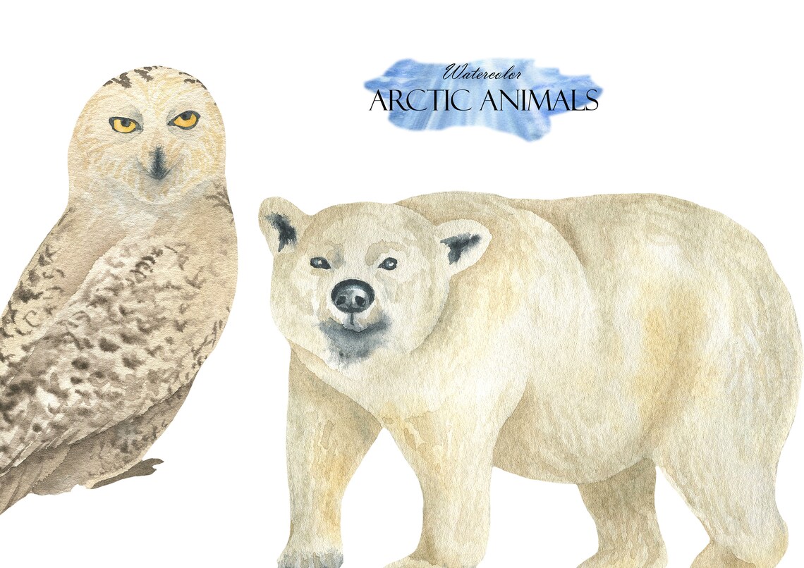 Watercolor Arctic Animal Clip Art, Polar Animals, Reindeer, Bear, Fox ...