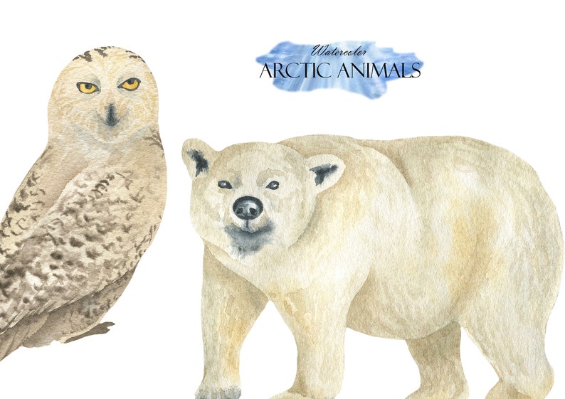 Watercolor Arctic Animal Clip Art, Polar Animals, Reindeer, Bear, Fox ...