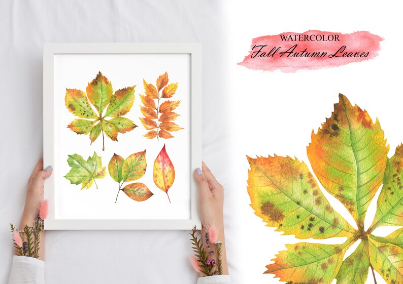 Watercolor Fall Leaves Clipart, Autumn Leaf of Chestnut, Maple, Oak ...