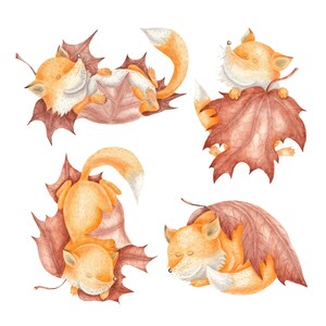 Watercolor Autumn Fox Clipart, Forest Animals, Floral Clipart ...