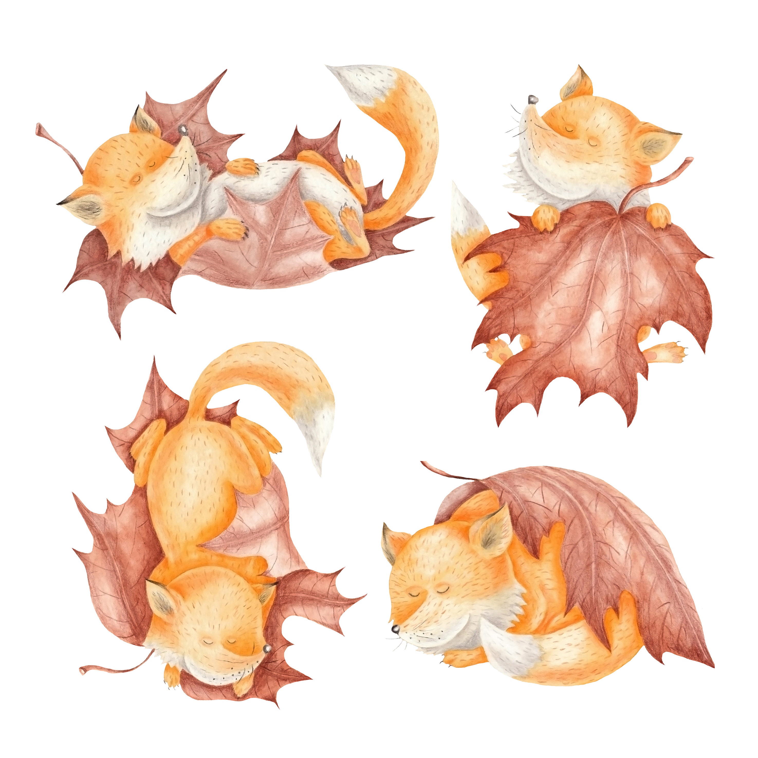 Watercolor Autumn Fox Clipart, Forest Animals, Floral Clipart ...