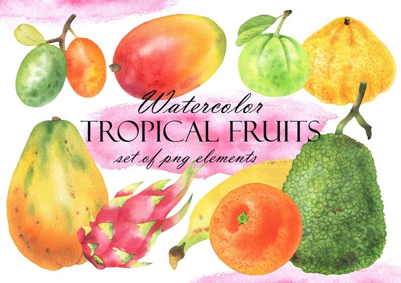 Watercolor Tropical Fruit Clipart, Summer Fresh Exotic Fruits Clip Art ...