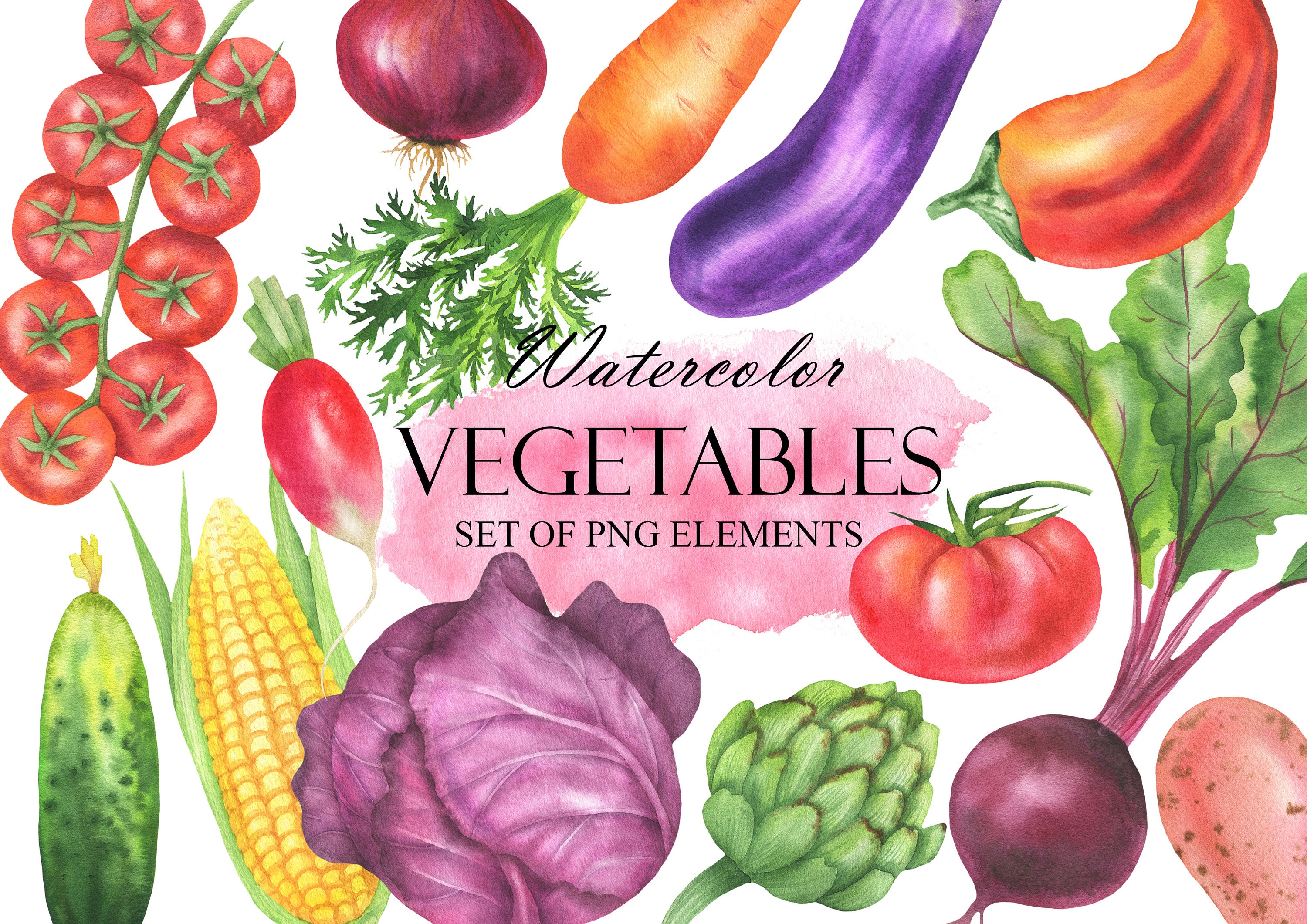 Watercolor Vegetable Clipart, Farm and Kitchen Cabbage, Tomato ...