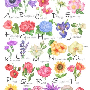Watercolor Flower Alphabet Clipart, Flowers ABC, Alphabet Poster ...
