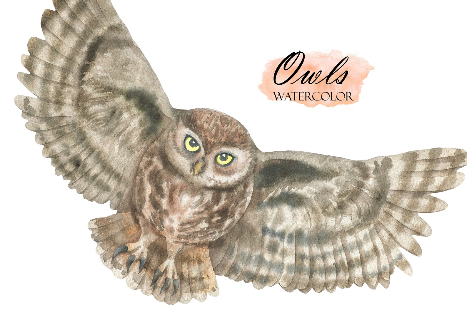 Owls Watercolor Clipart Forest Birds Clip Art Magical Owls - Etsy