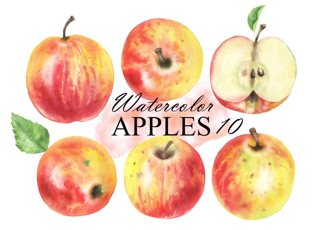 Watercolor Apples Clipart, Apple Clip Art Fruits, Slices of Apple ...