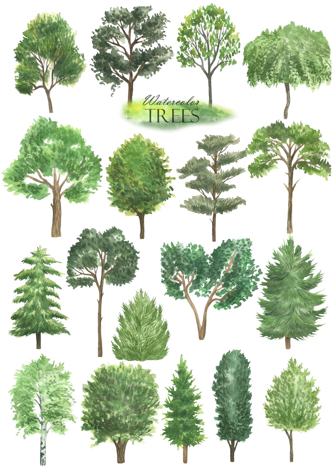 Green Trees Watercolor Clipart, Forest Tree Landscape Clipart, Nature ...