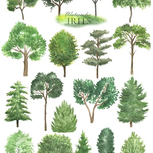 Green Trees Watercolor Clipart, Forest Tree Landscape Clipart, Nature ...