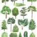 Green Trees Watercolor Clipart, Forest Tree Landscape Clipart, Nature ...