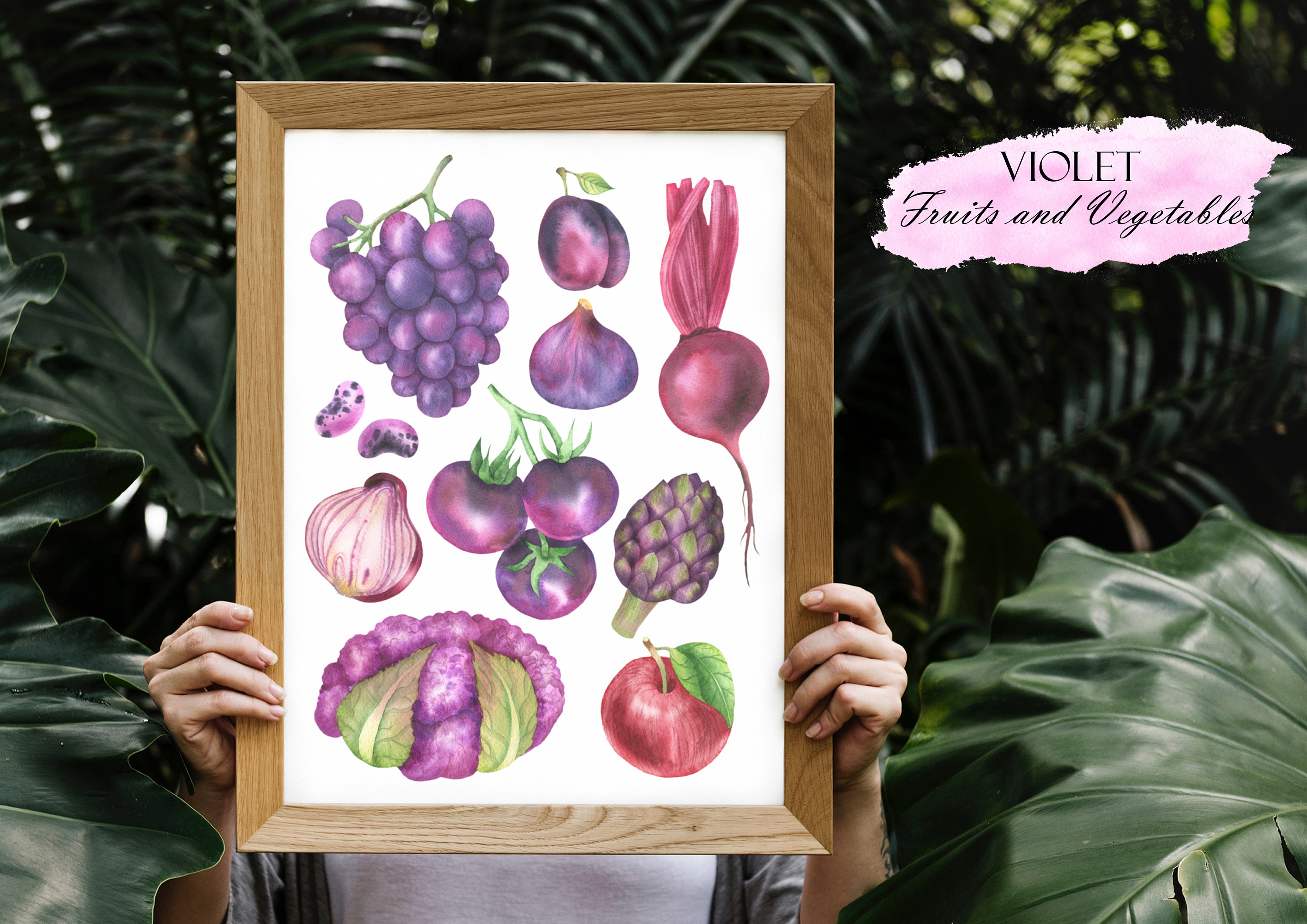 Watercolor Violet Fruit and Vegetables Clipart, Farm and Kitchen ...