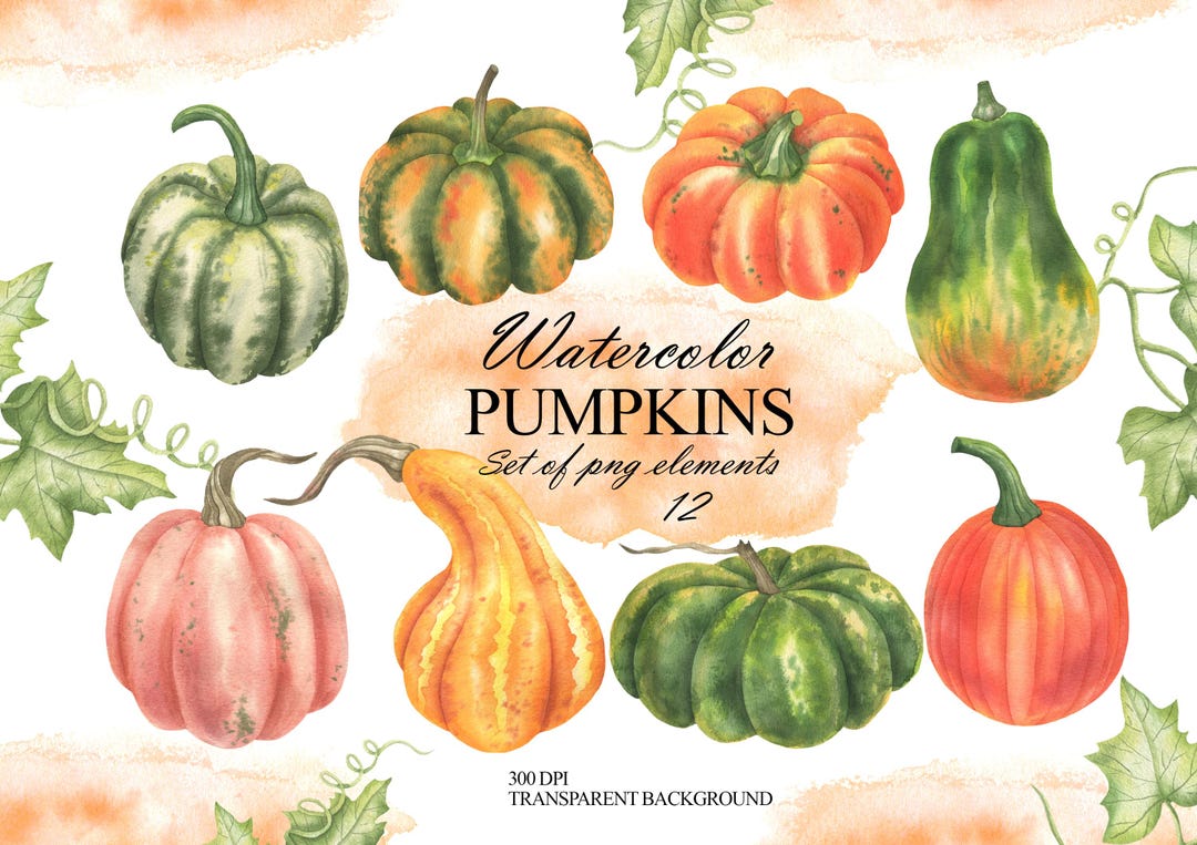 Watercolor Pumpkin Clipart Set, Fall Autumn PNG (digital Download) - Etsy