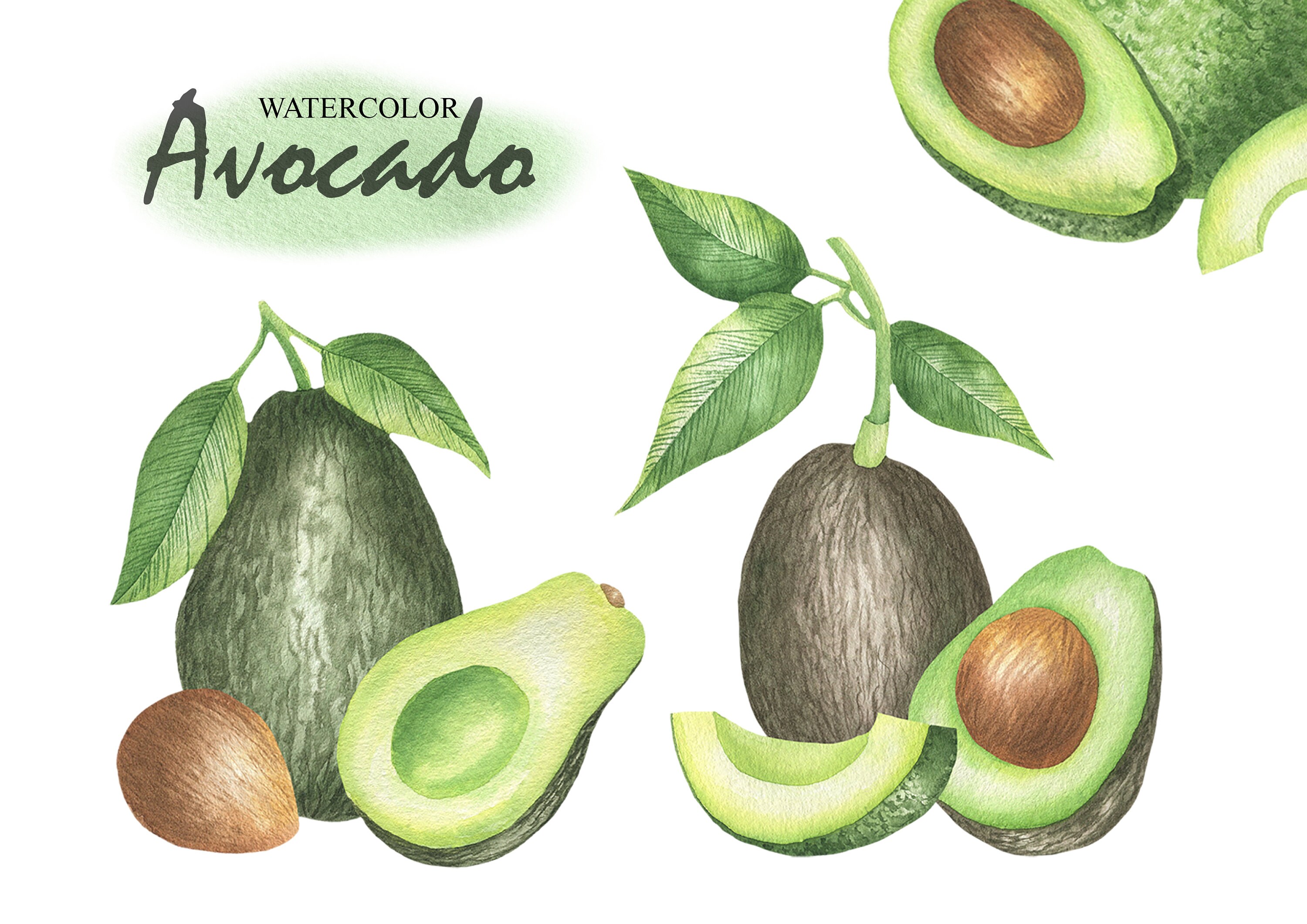 Watercolor Avocado Clipart, Tropical Fruit Clip Art, Avocado Print ...