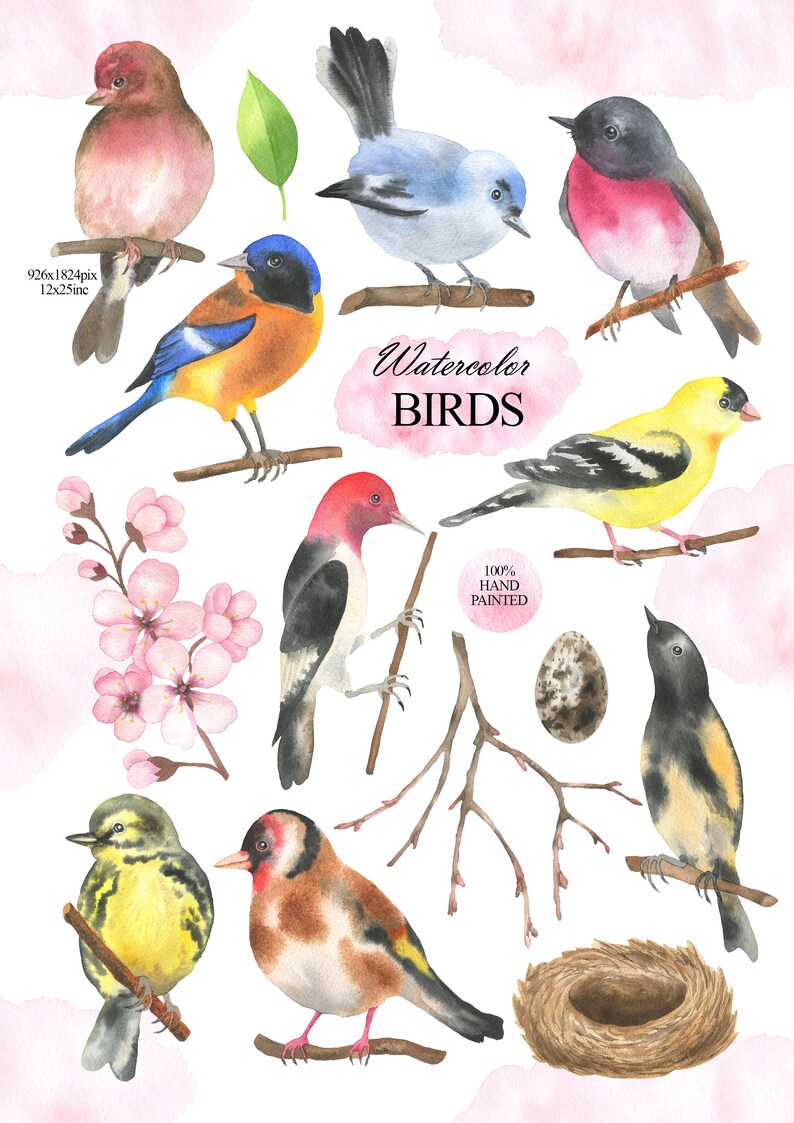 Watercolor Birds Clipart, Spring Bird Clip Art, Colorful Birds on ...