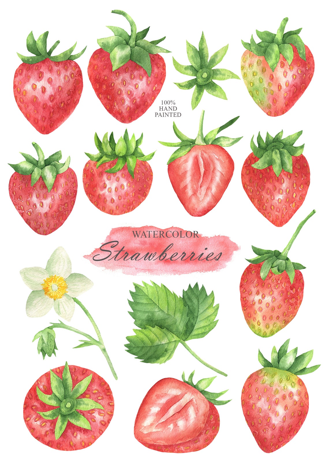 Strawberry Watercolor Clipart Berry Clip Art Summer - Etsy