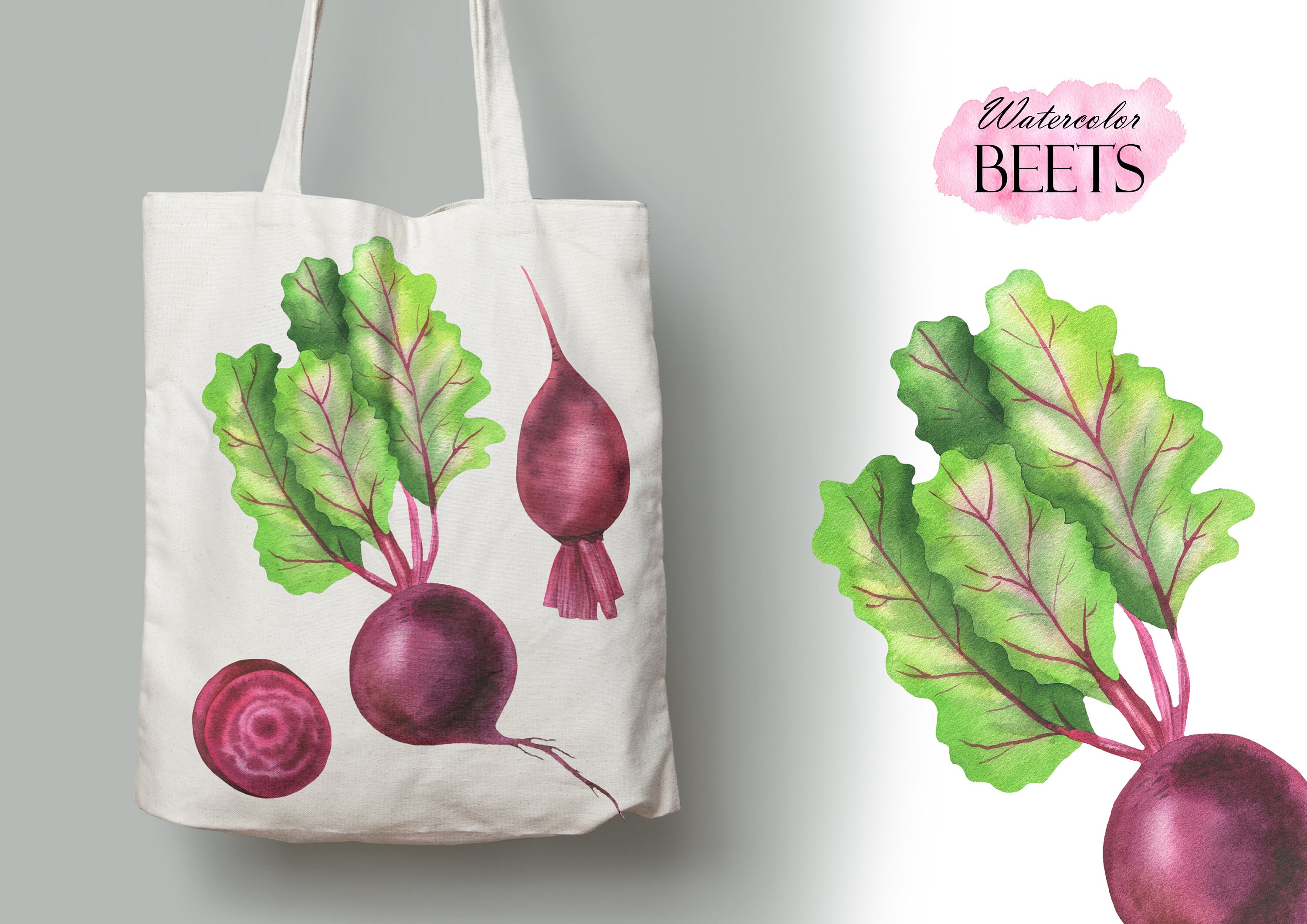 Watercolor Beet Clipart, Beetroot Clip Art, Eco Farm Vegetables, Fresh ...