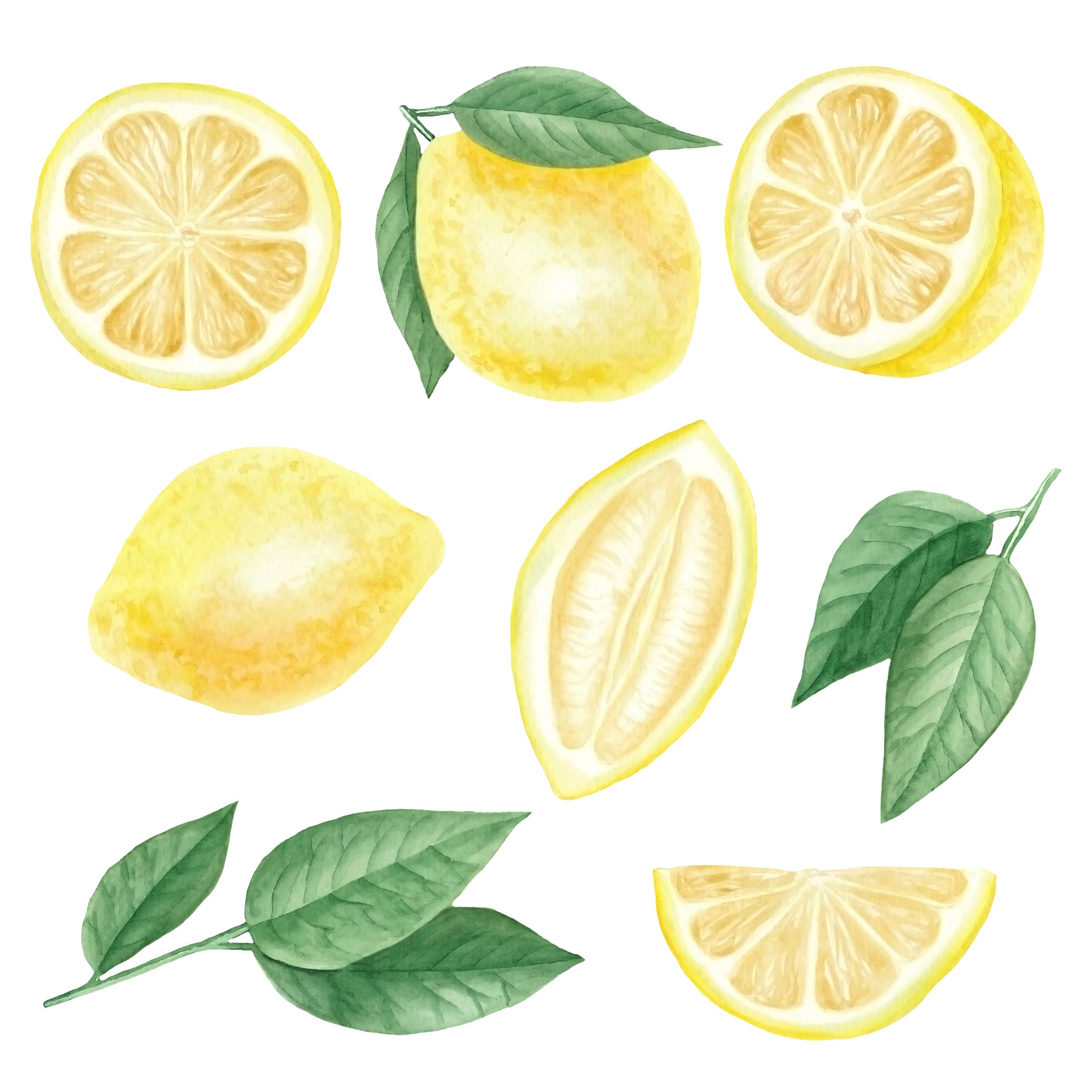 Watercolor Citrus Fruit Clipart, Fresh Summer Lemon, Orange, Grapefruit ...