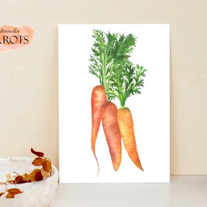 Watercolor Carrots Clipart, Colored Carrot, Eco Farm Vegetables, Fresh ...