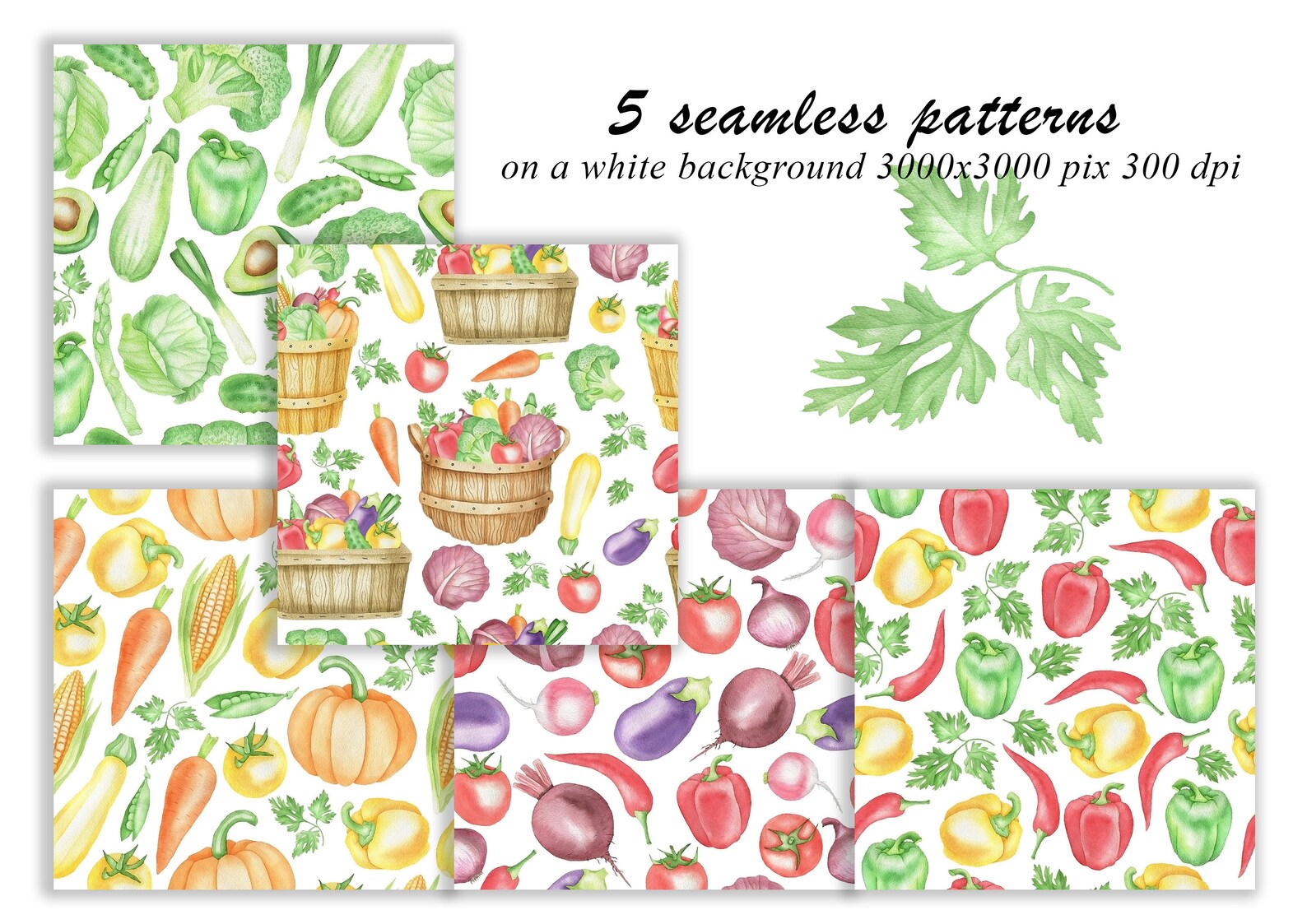 Watercolor Vegetable Clipart Farm and Kitchen Cabbage - Etsy