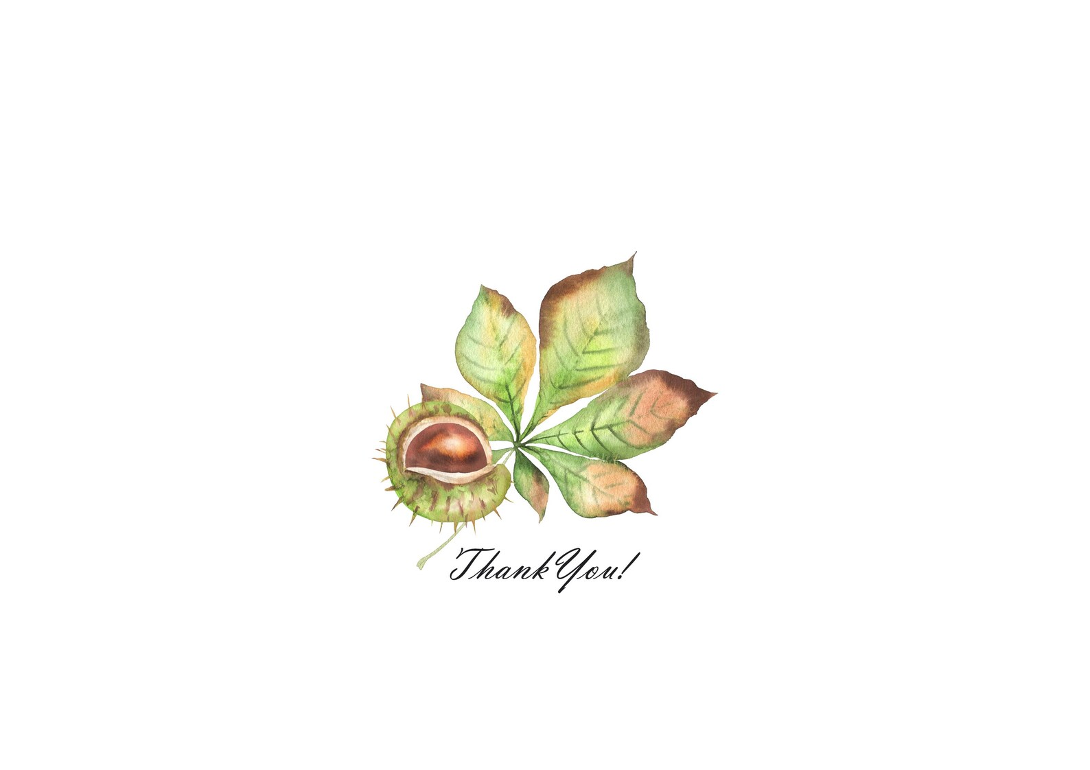 Watercolor Chestnuts Clipart for Autumn, Autumn Chestnut Clip Art Set ...