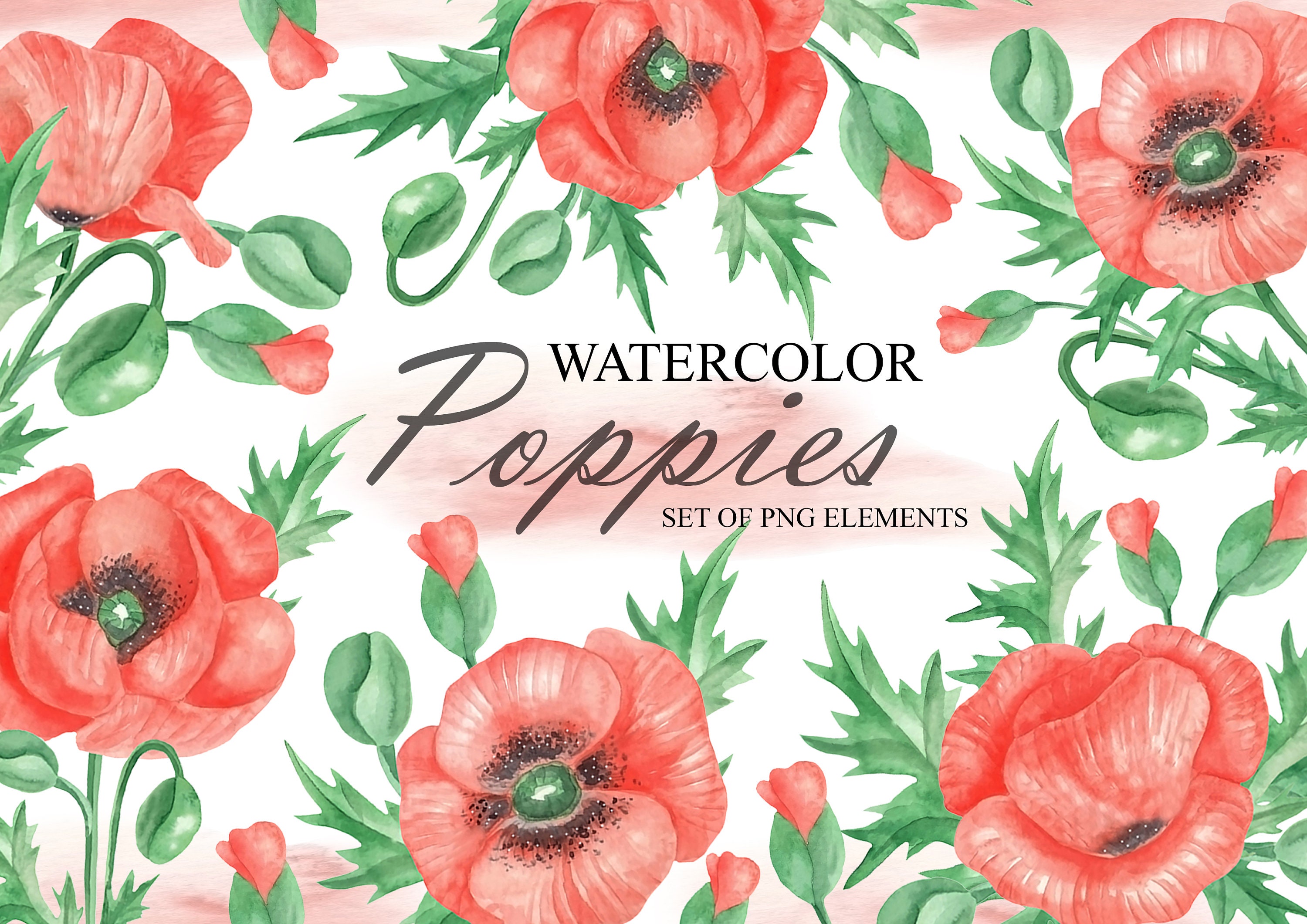 Watercolor Poppies Flowers Clipart, Wild Flowers, Field Flowers, Wreath ...