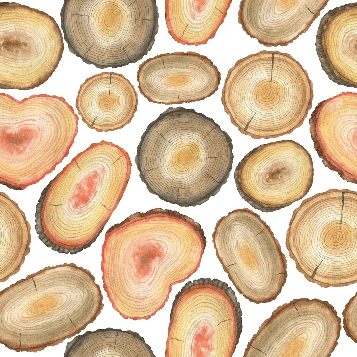 Watercolor Wood Slice Clipart Spring Wooden Slices Rustic - Etsy