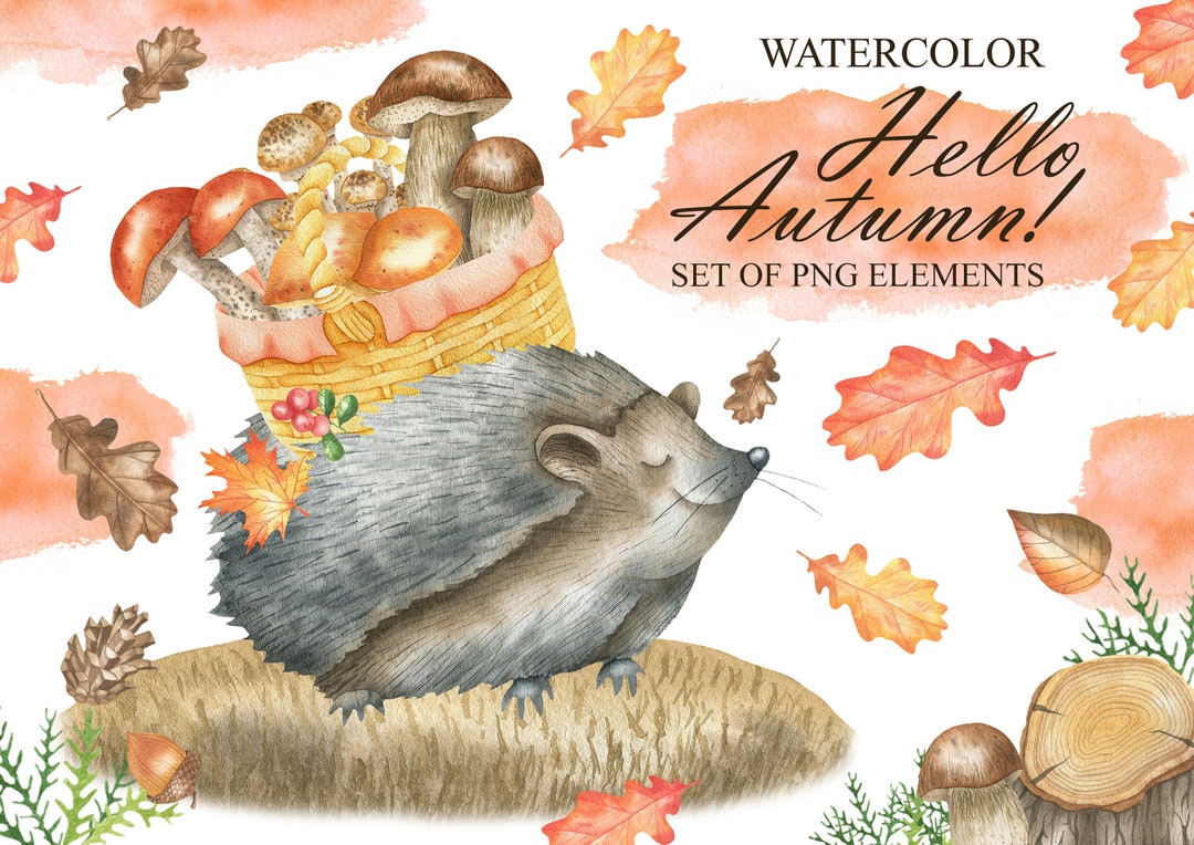 Watercolor Fall Forest Clipart, Autumn Clip Art, Woodland Animal ...