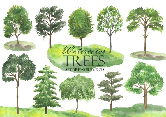 Green Trees Watercolor Clipart Forest Tree Landscape Clipart | Etsy