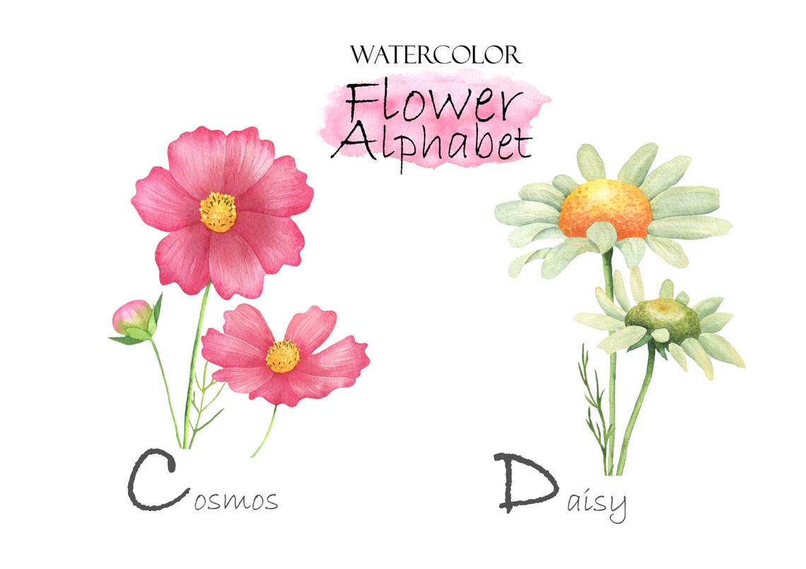 Watercolor Flower Alphabet Clipart, Flowers ABC, Alphabet Poster ...