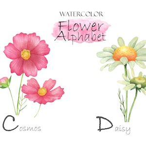 Watercolor Flower Alphabet Clipart, Flowers ABC, Alphabet Poster ...