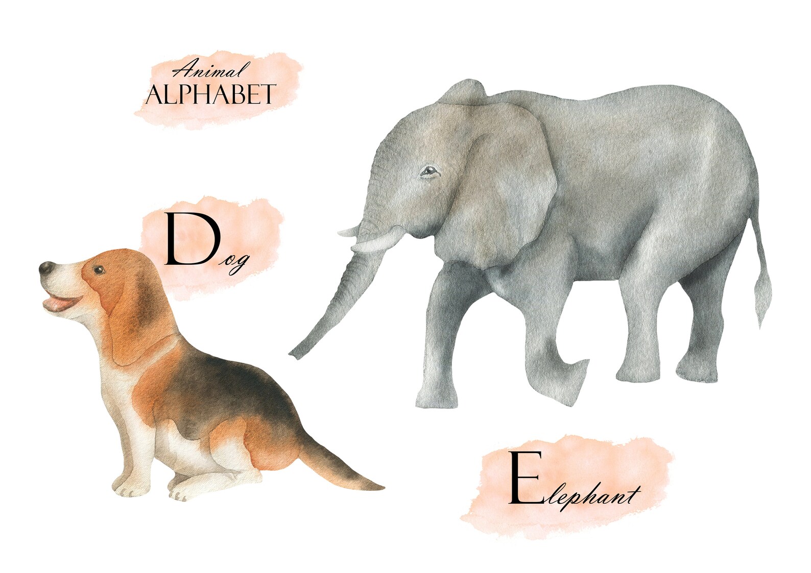 Animal Alphabet Watercolor Clipart, Animals A-Z, Alphabet Animals ...