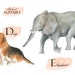 Animal Alphabet Watercolor Clipart, Animals A-Z, Alphabet Animals ...
