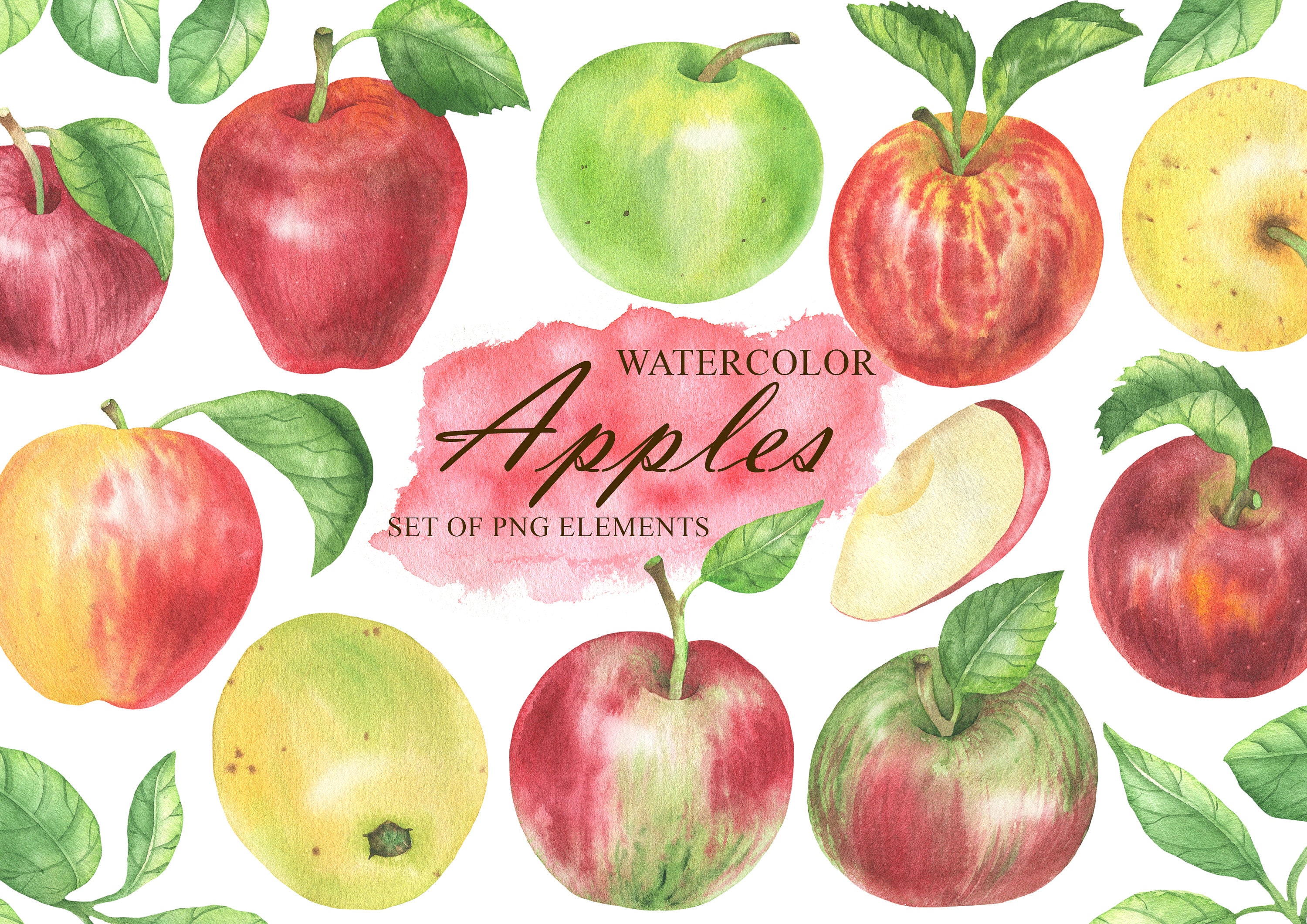 Watercolor Apples Clipart Apple Clip Art Fruits Slices of - Etsy