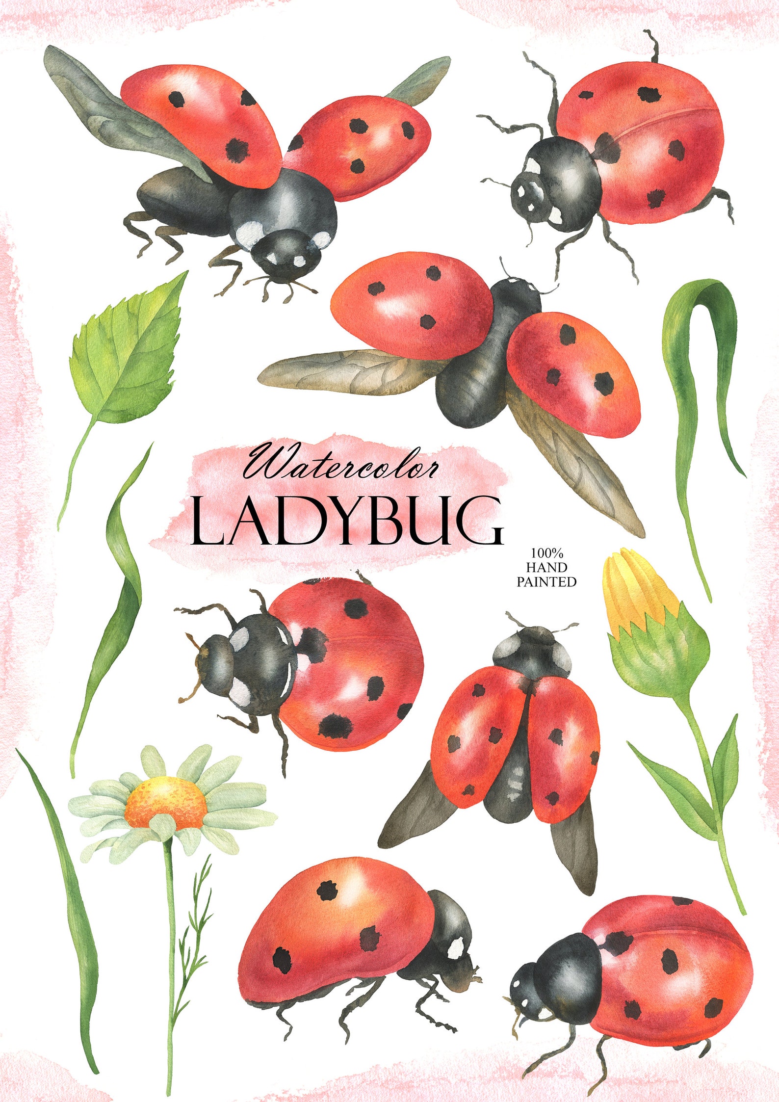 Watercolor Ladybug Clipart, Insect Clip Art, Red Ladybugs, Summer ...