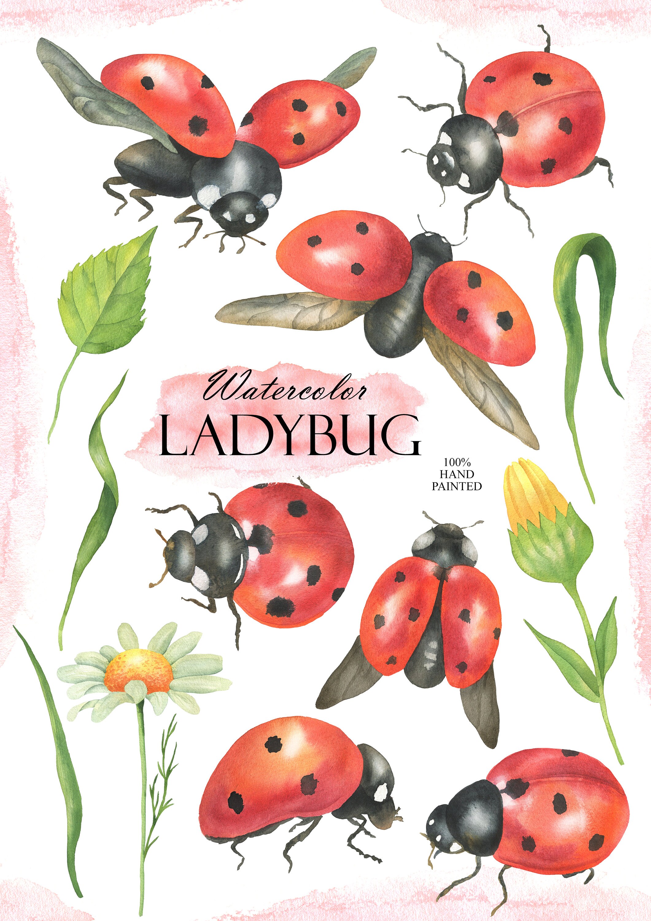 Watercolor Ladybug Clipart, Insect Clip Art, Red Ladybugs, Summer ...