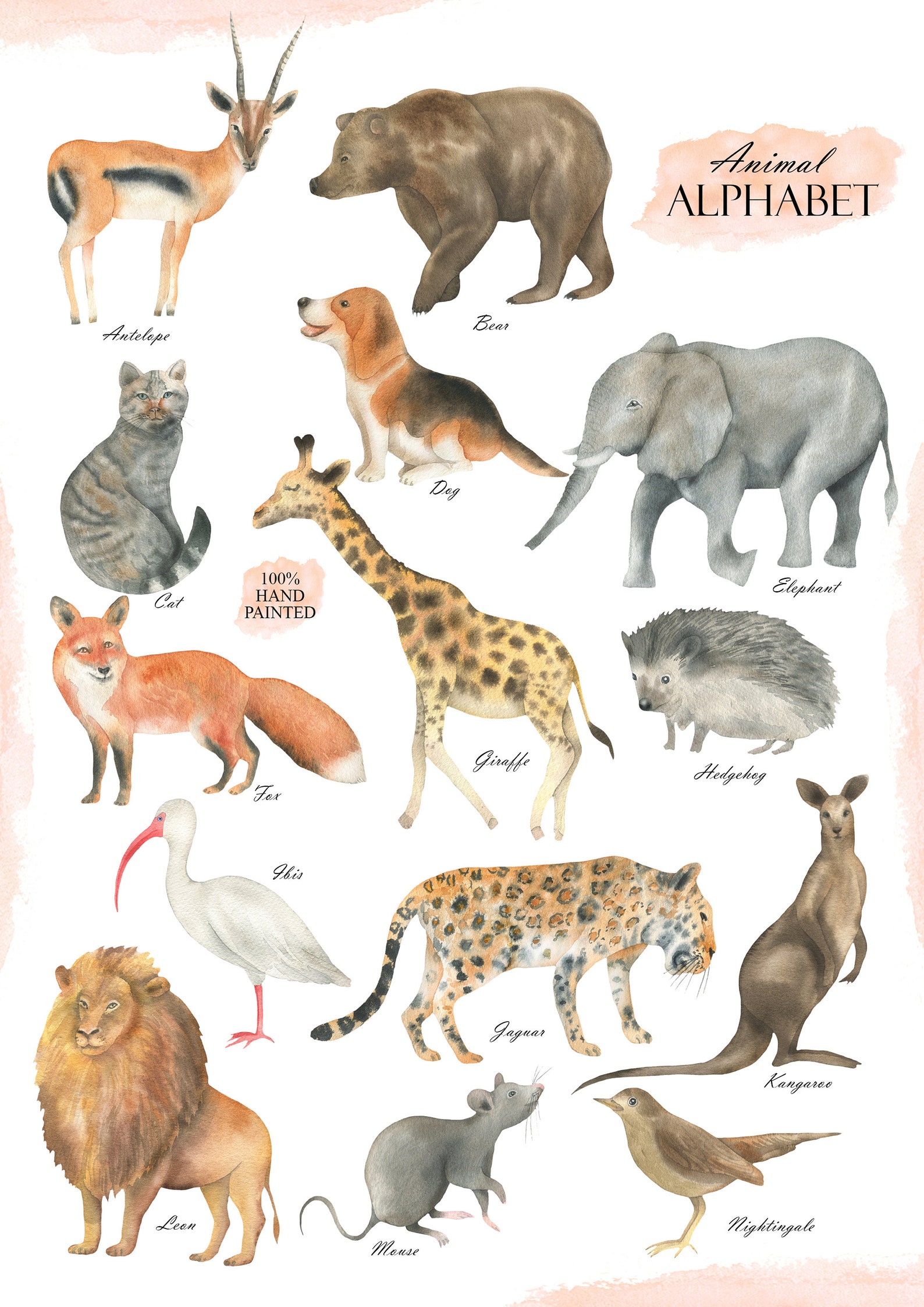 Animal Alphabet Watercolor Clipart, Animals A-Z, Alphabet Animals ...
