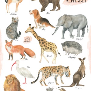 Animal Alphabet Watercolor Clipart, Animals A-Z, Alphabet Animals ...