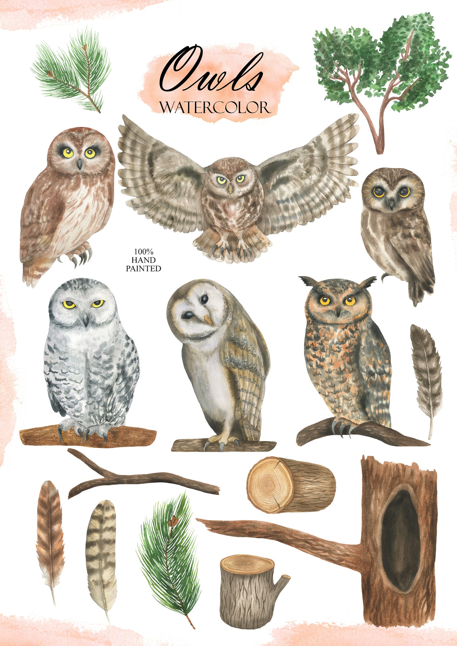 Owls Watercolor Clipart, Forest Birds Clip Art, Magical Owls, Woodland ...