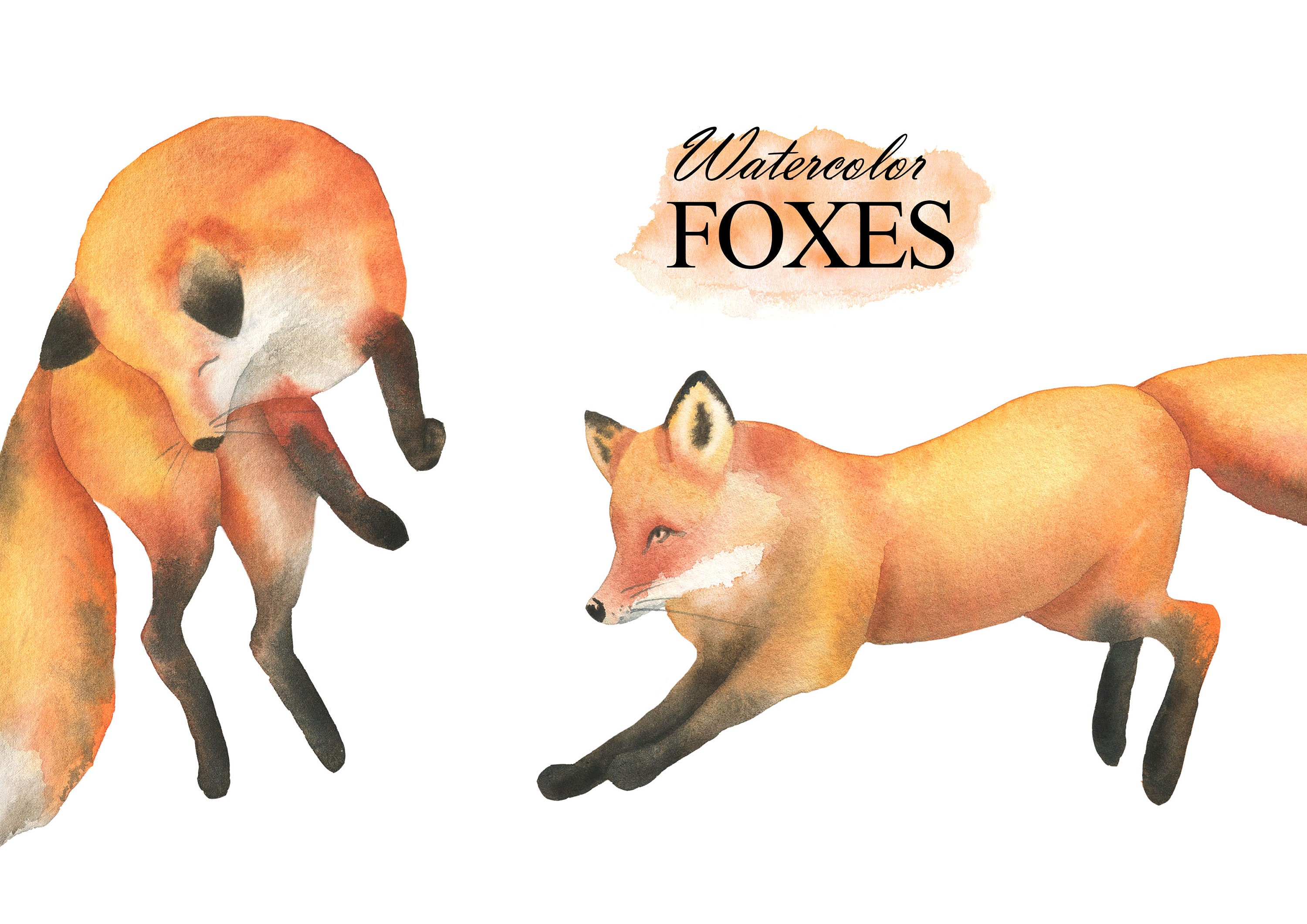 Watercolor Fox Clipart, Forest Animals, Painted Foxes, Woodland Animal ...
