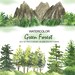 Watercolor Forest Tree Clipart, Woodland Pine Trees, Landscapes ...