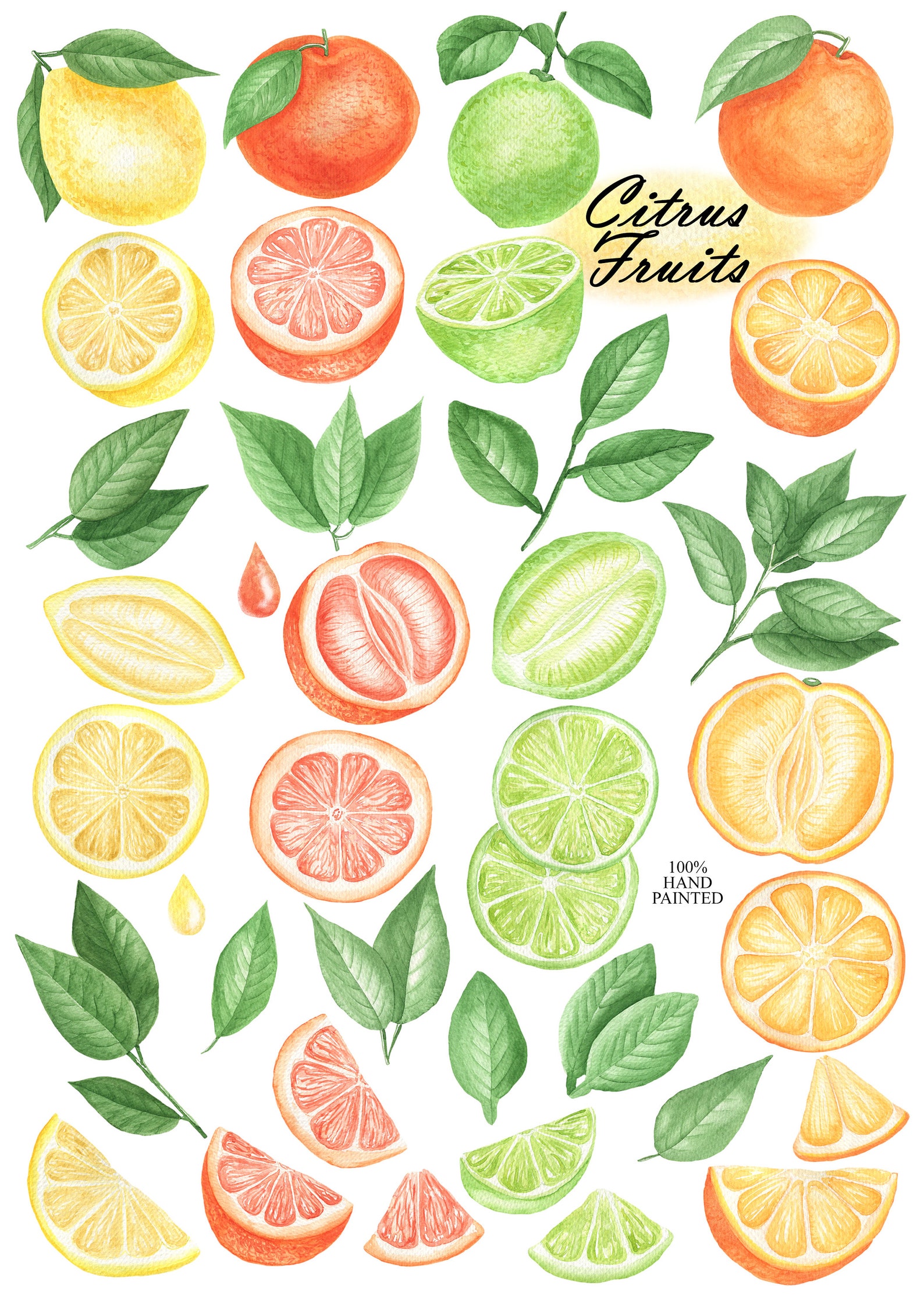 Watercolor Citrus Fruit Clipart Fresh Summer Lemon Orange - Etsy