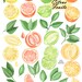Watercolor Citrus Fruit Clipart, Fresh Summer Lemon, Orange, Grapefruit ...