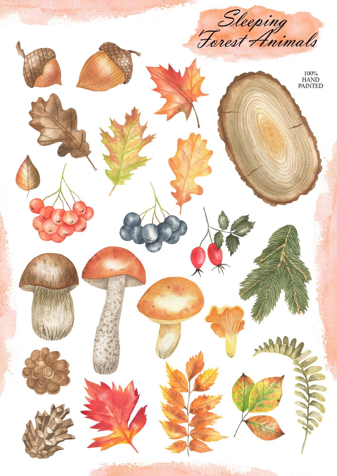 Sleeping Forest Animals Watercolor Clipart Woodland Animal - Etsy