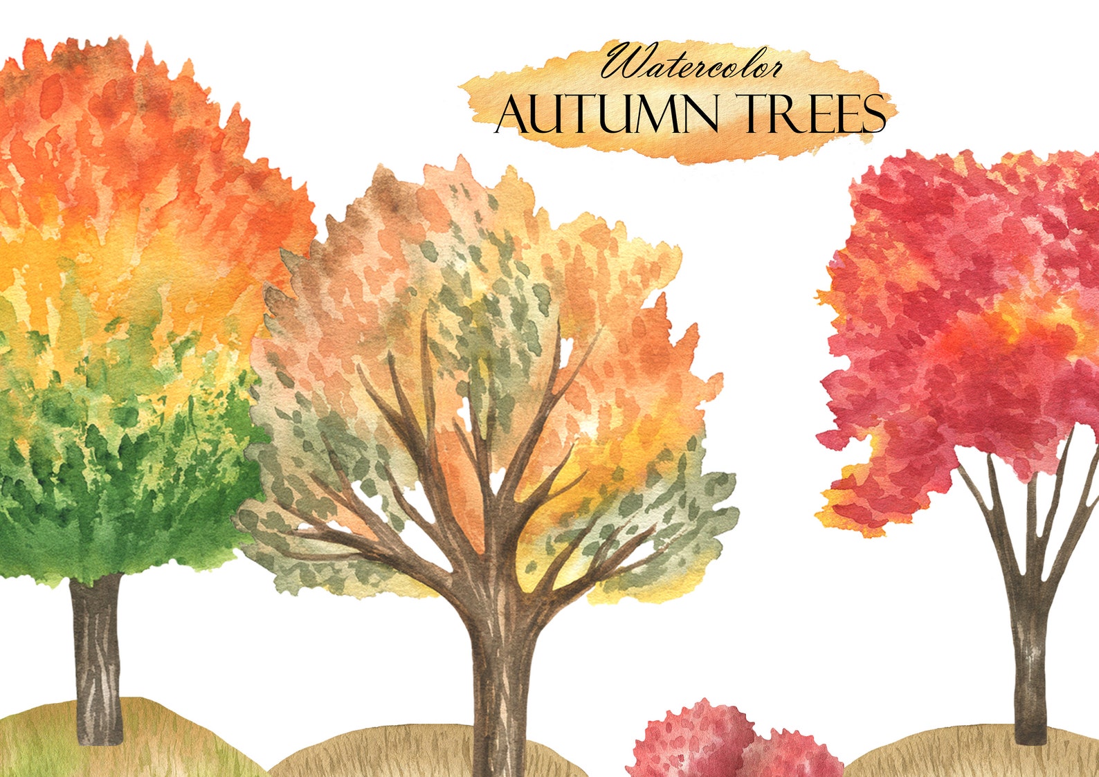 Fall Tree Watercolor Clipart, Autumn Forest Trees Landscape Clip Art ...