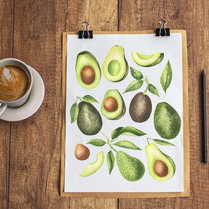 Watercolor Avocado Clipart, Tropical Fruit Clip Art, Avocado Print ...