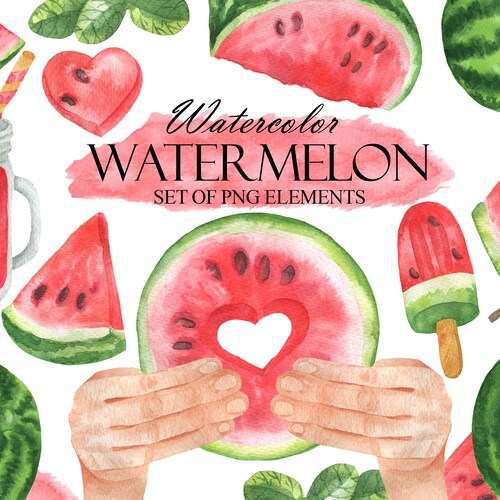 Watercolor Watermelon Clipart Fruit Tropical Summer Fruit - Etsy