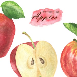 Watercolor Apples Clipart, Apple Clip Art Fruits, Slices of Apple ...