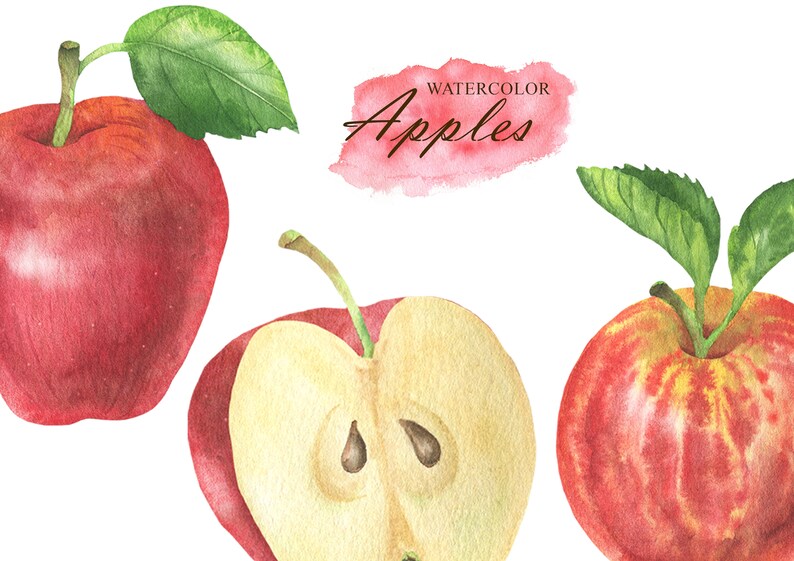 Watercolor Apple Clipart Set, Fruits, Slices PNG (digital Download) - Etsy